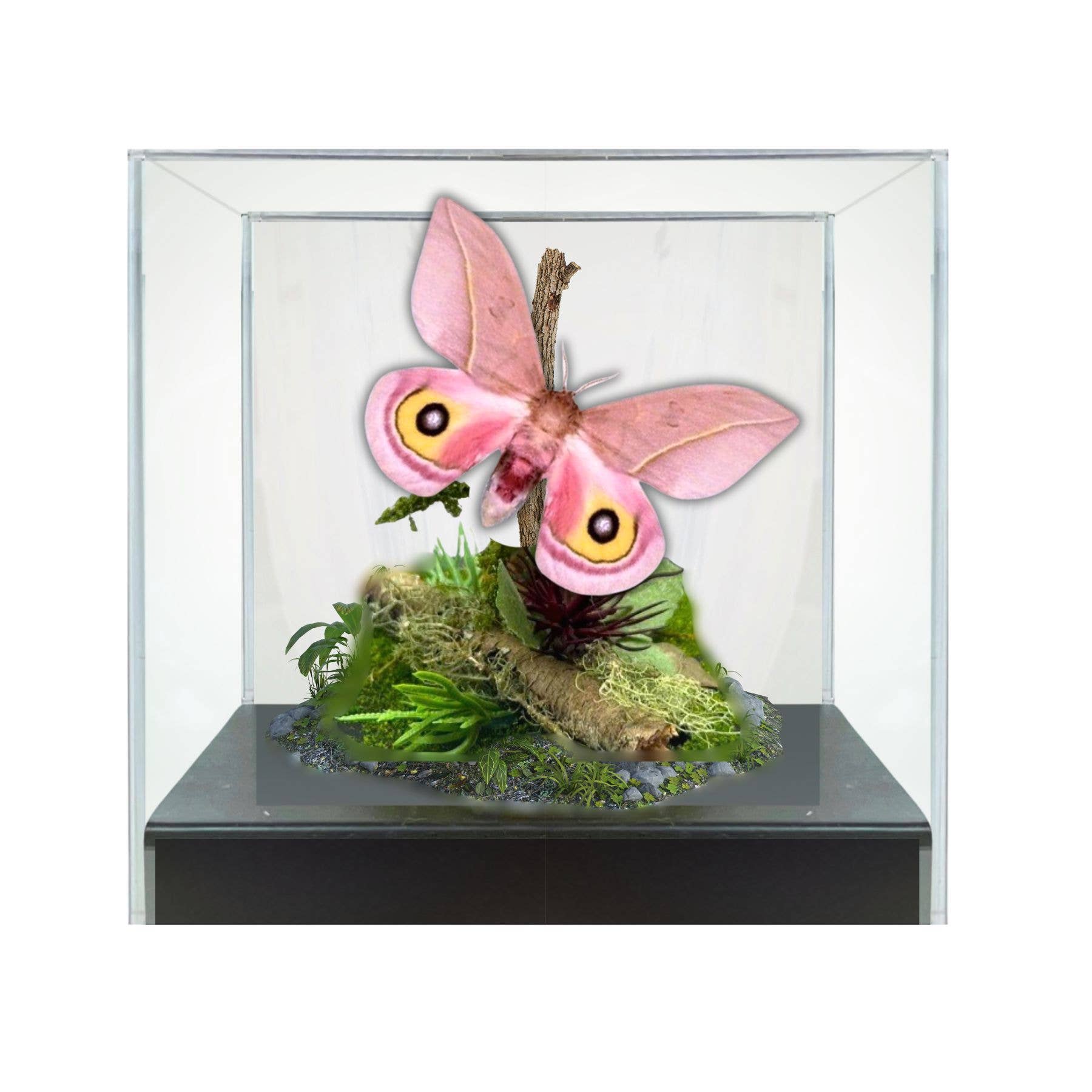 plantastik artifacts