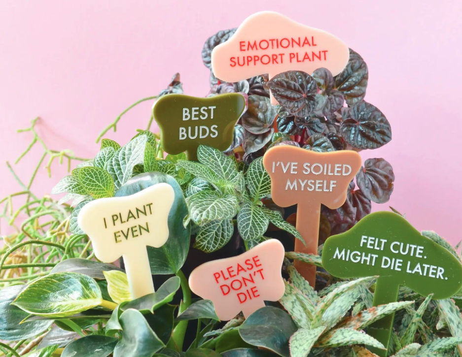 plantastik artifacts