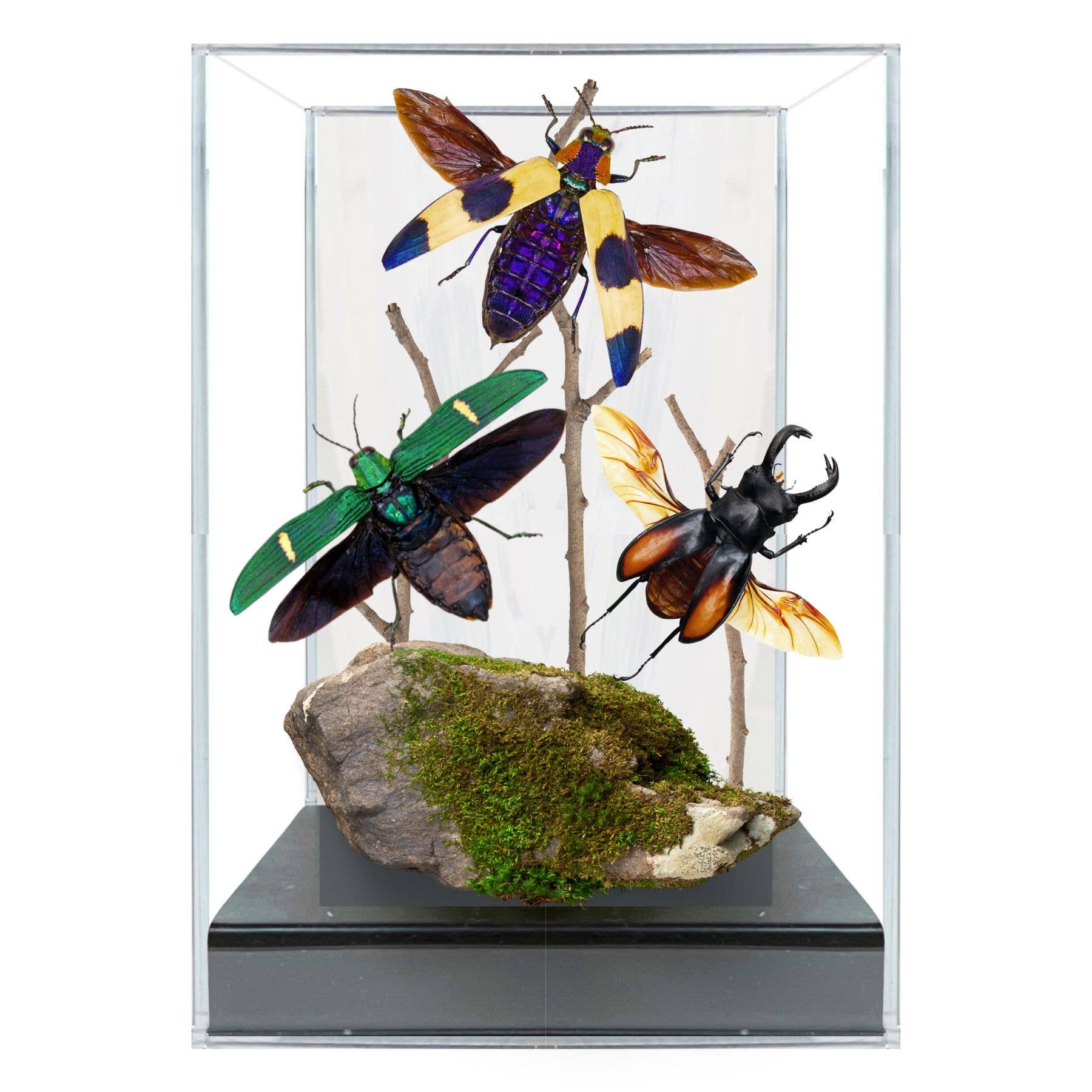 plantastik artifacts